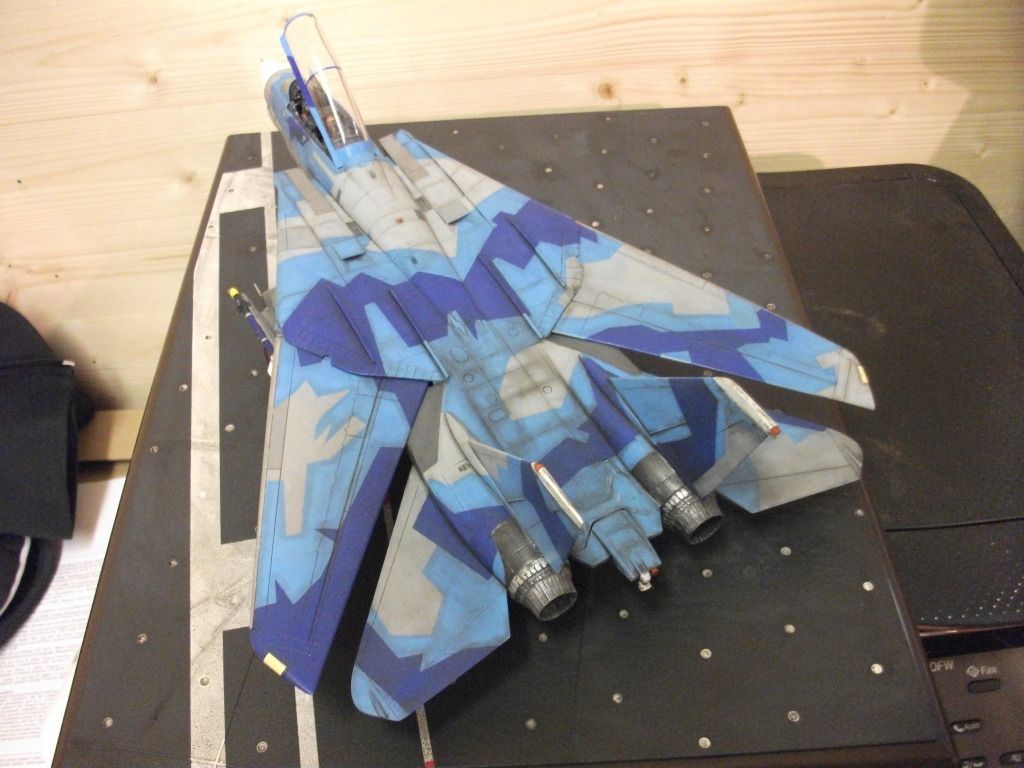 F-14 Aggressor in splinter camo - Ready for Inspection - Aircraft - Britmodeller.com